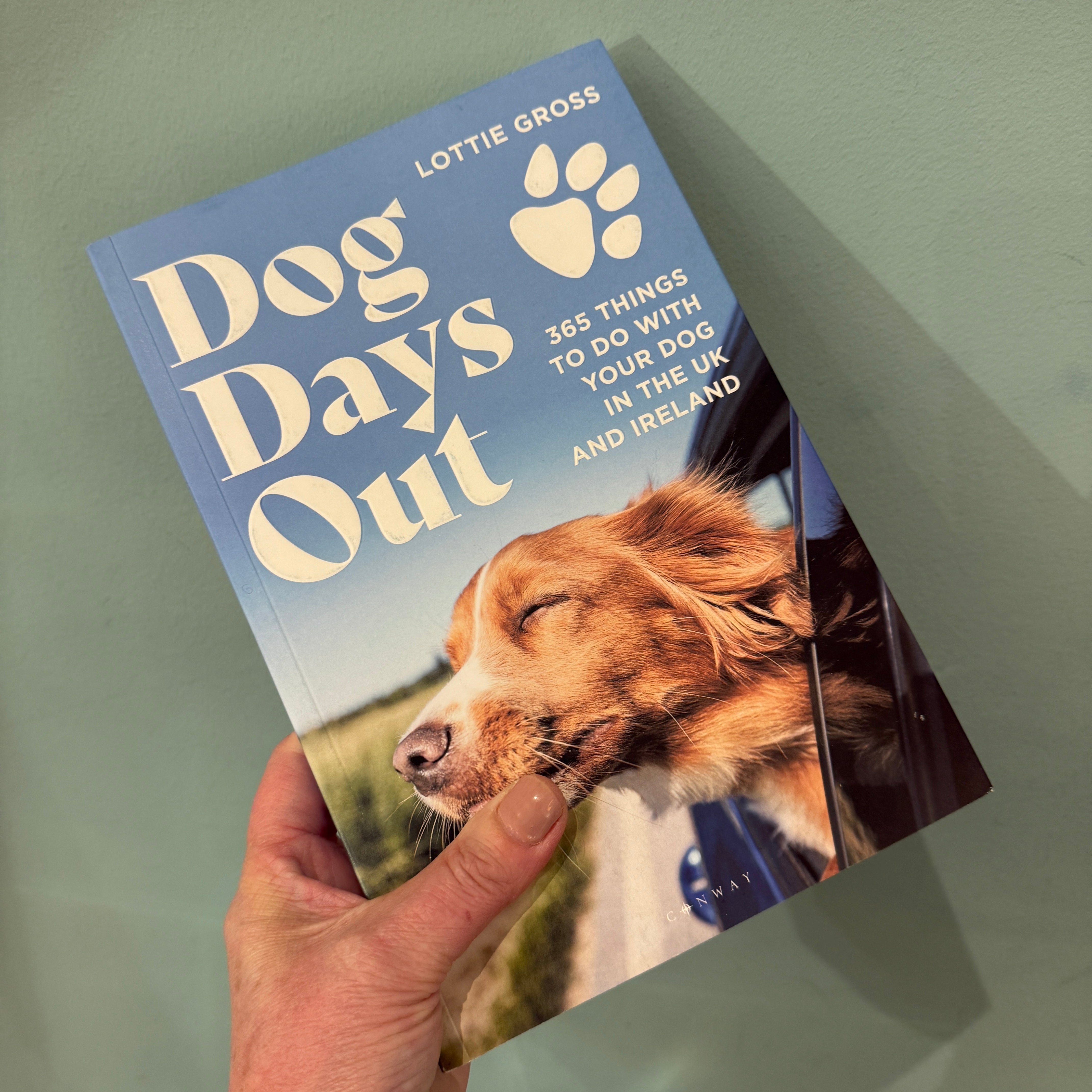 Dog Days Out |calvert jones – Calvert Jones
